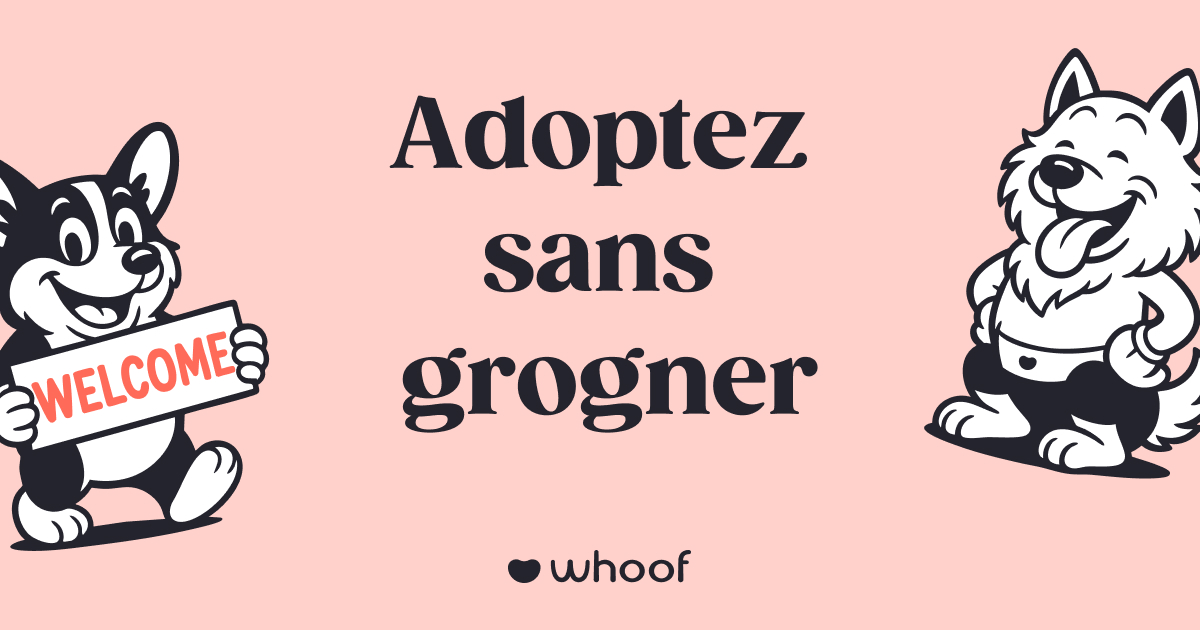 L'adoption responsable en élevage | Whoof